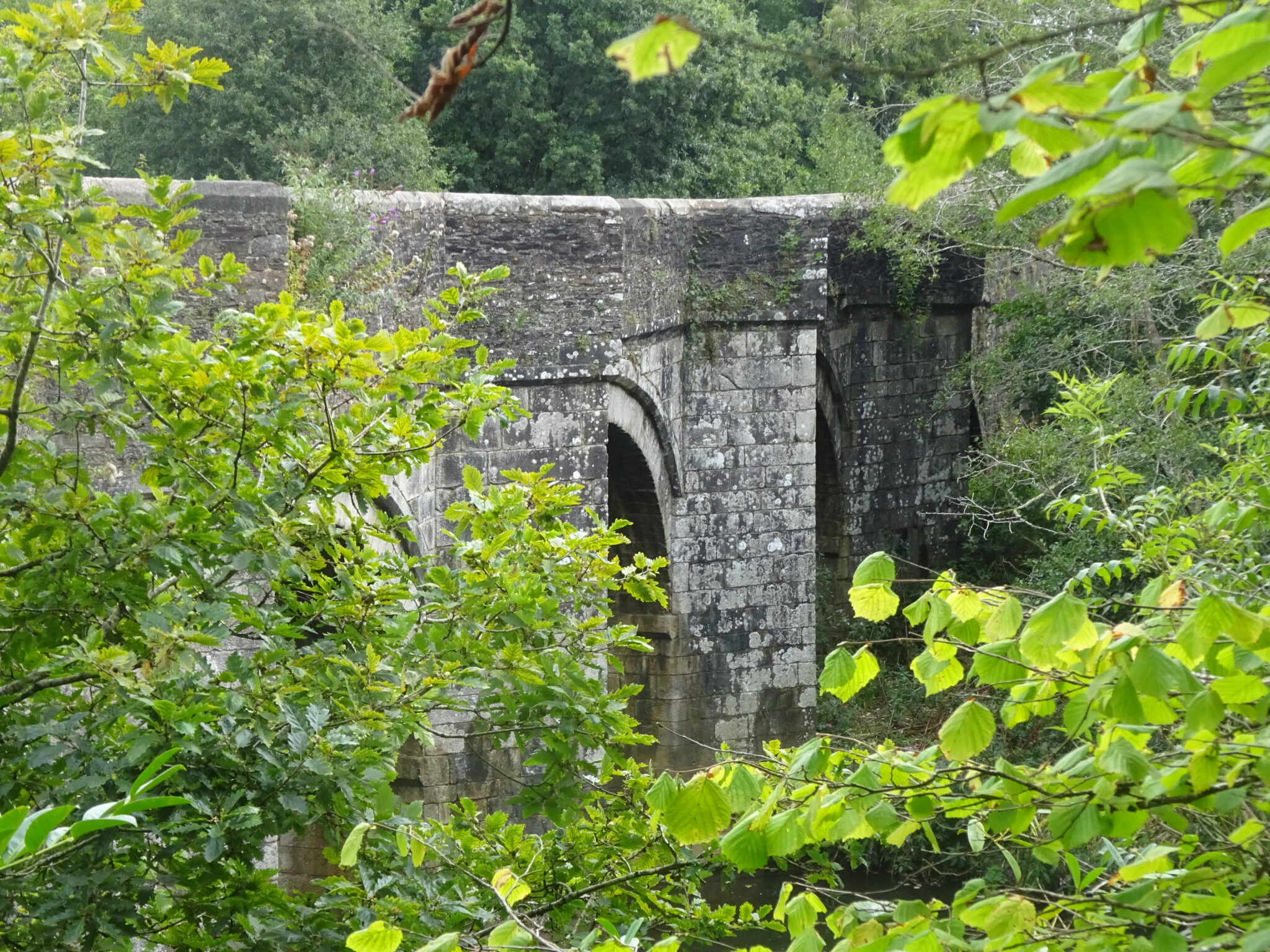 7 things you might not know about the River Tamar - Visit the Tamar Valley